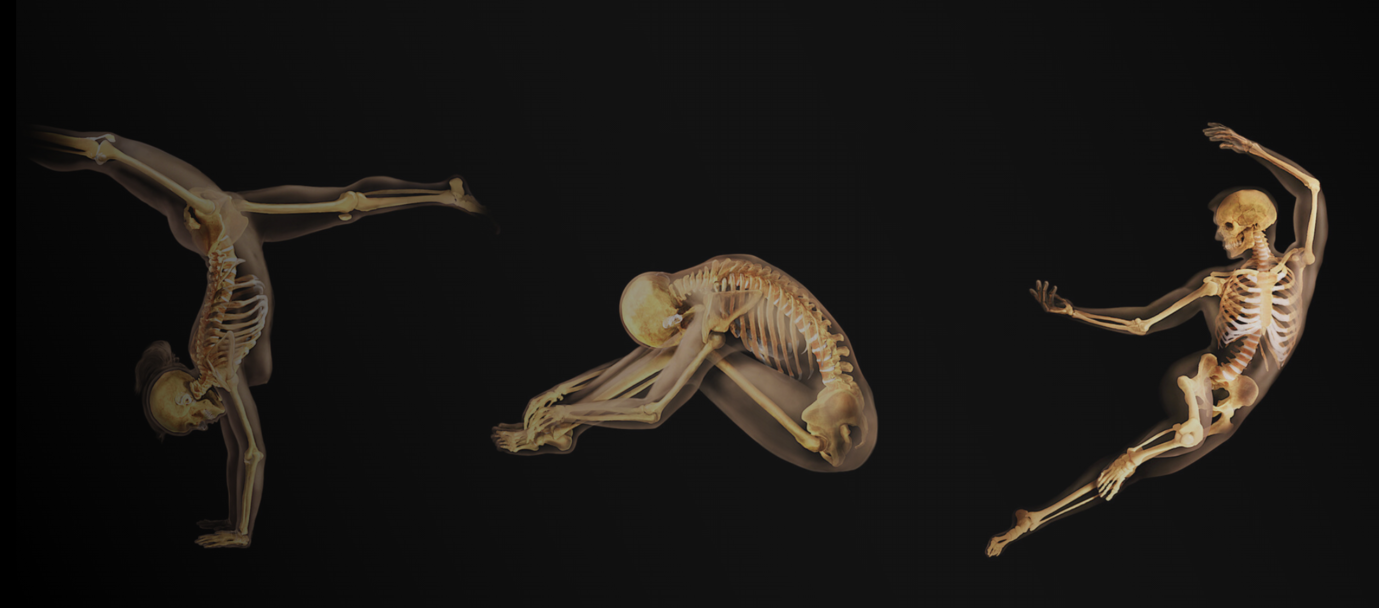 +StoryMD Health - StoryMD